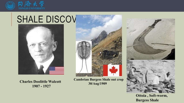shale gas reservoir | PPTX | Geology | Science
