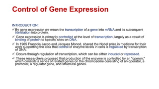 Control of gene expression ppt | PPTX