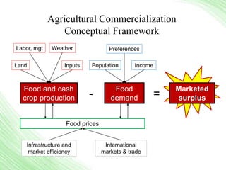 AAMP_Module_2.2_Modelling_Smallholder_Commercialization.ppt