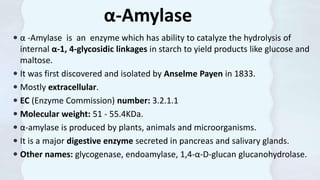 Alpha amylase | PPTX