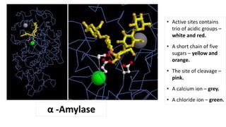 Alpha amylase | PPTX