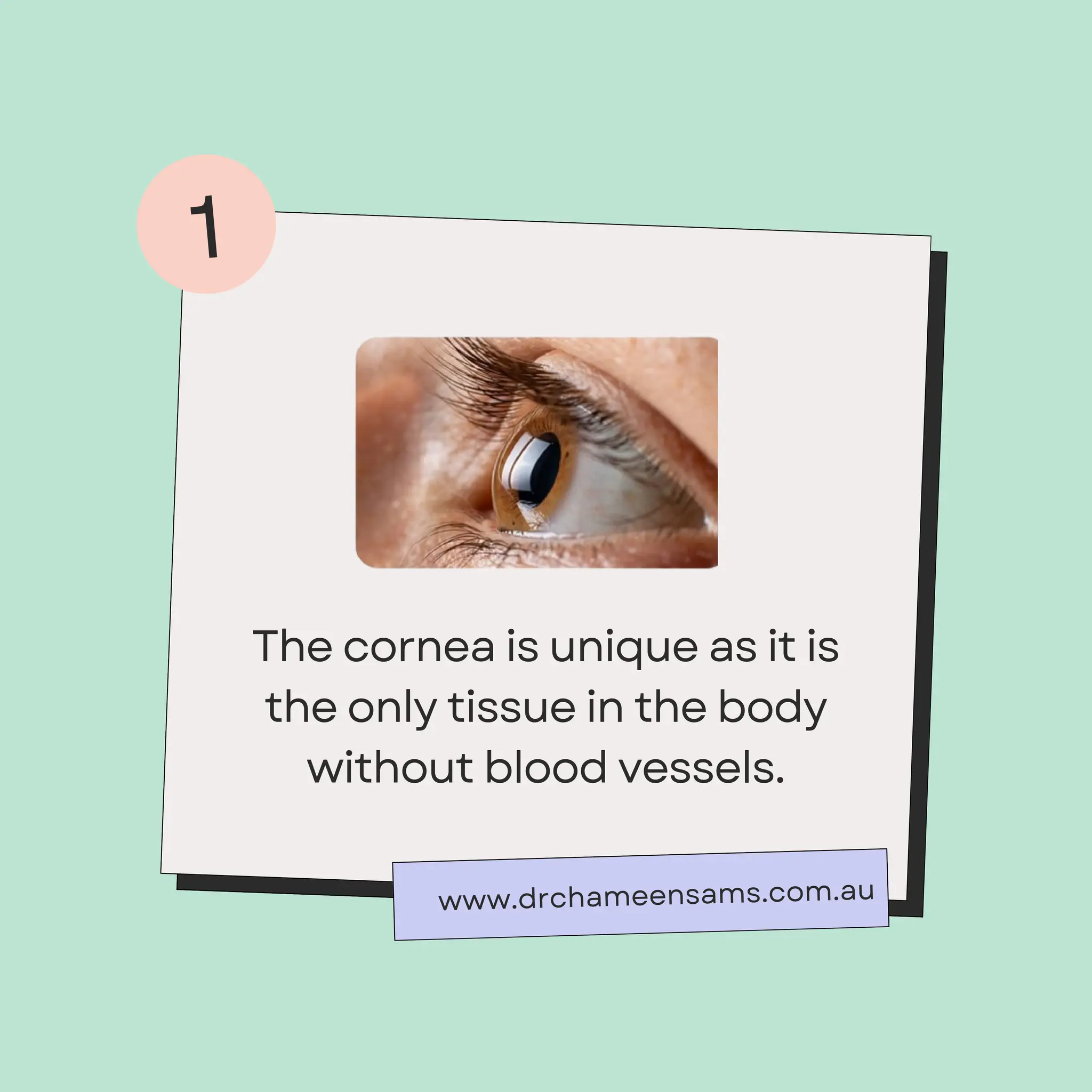 Amazing Human Eye Facts That You Should Know | PDF