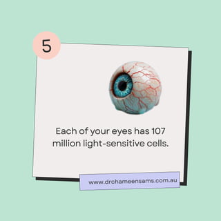 Amazing Human Eye Facts That You Should Know | PDF