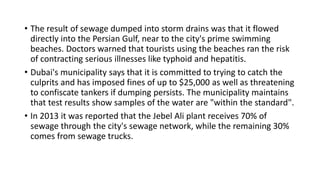 Sanitation in Dubai | PPTX