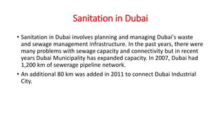 Sanitation in Dubai | PPTX