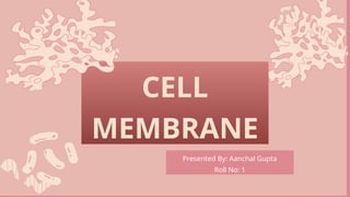 Cell membrane presentation showing its parts | PPTX
