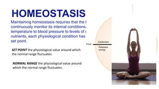 i. Introduction to Anatomy and Physiology | PPT