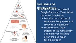 i. Introduction to Anatomy and Physiology | PPT