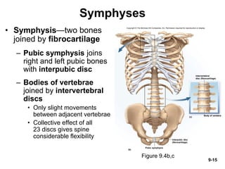 human body joints full detailed lecture for nurses | PDF