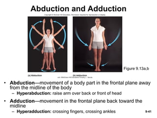 human body joints full detailed lecture for nurses | PDF