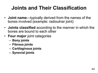 human body joints full detailed lecture for nurses | PDF