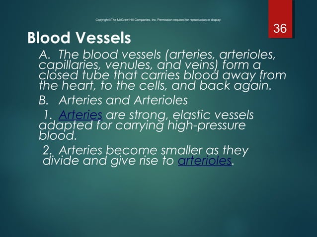 cardiovascular system | PPT