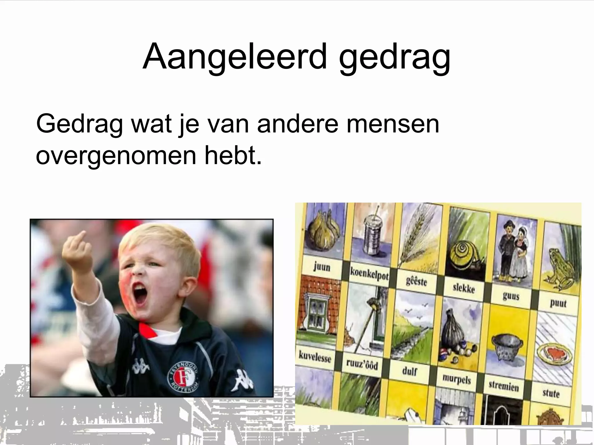 Aangeboren aangeleerd-hoe leren mensen | PPTX | Parenting | Family and ...