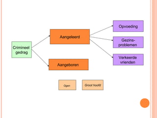 Aangeboren of aangeleerd? Criminaliteit | PPT