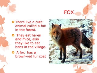 A animals of russia | PPT