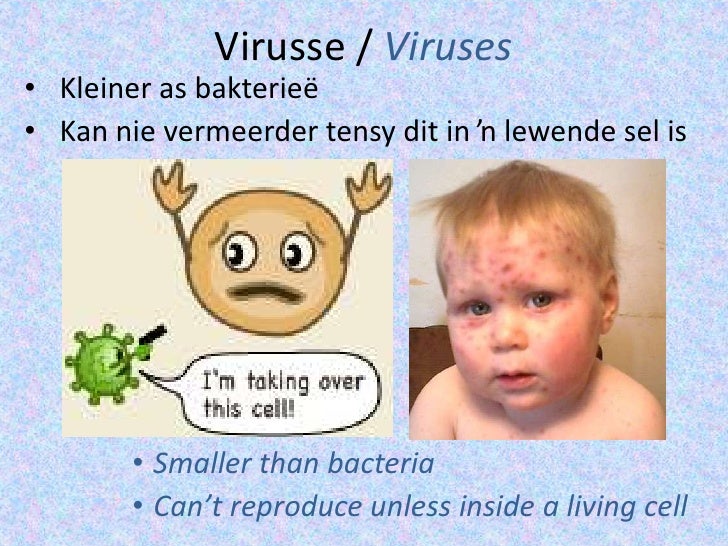 Aansteeklike siektes