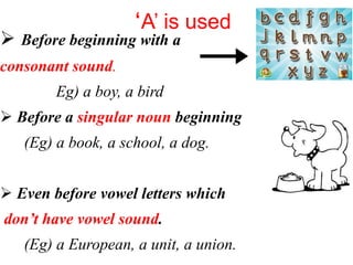 a,an,the articles.pptx
