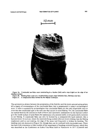 Aanti (1987) formation of flakes cotterell y kamminga | PDF