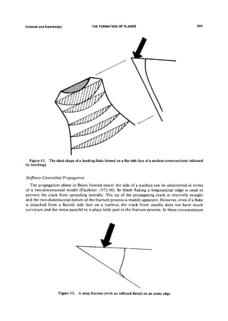 Aanti (1987) formation of flakes cotterell y kamminga | PDF