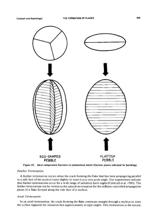 Aanti (1987) formation of flakes cotterell y kamminga | PDF