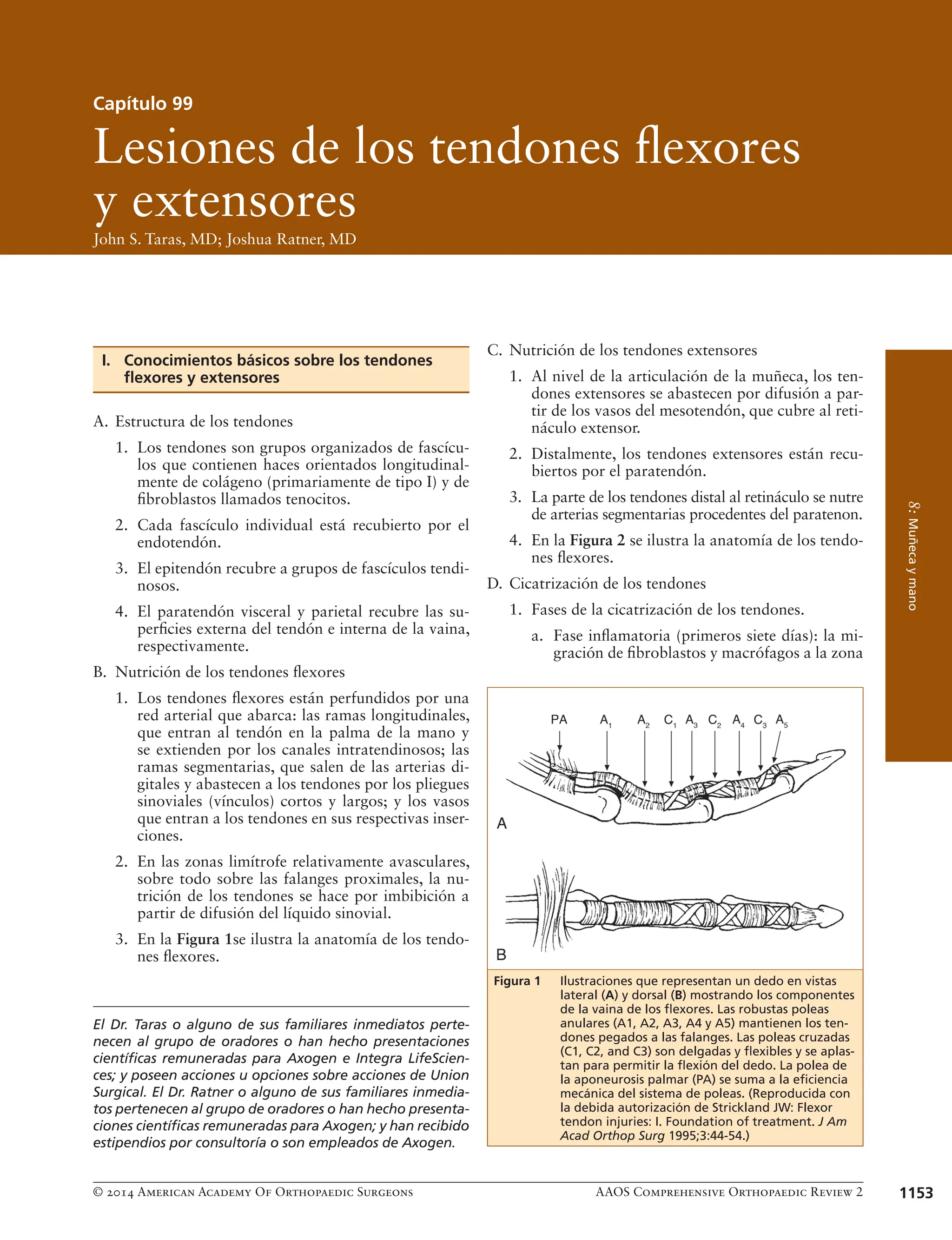 AAOS_cap_99 Lesiones de los tendones flexores y extensores.pdf