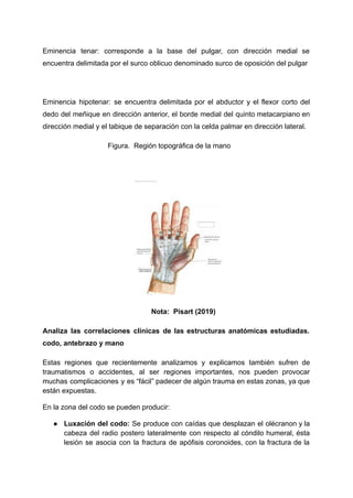AAP3.2.Miembro Superior_ Articulación del codo, Antebrazo y Mano.pdf
