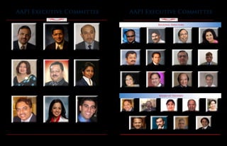 Aapi journal low res | PDF