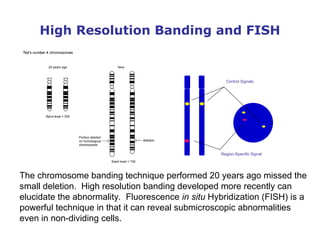 aaplications of molecular cytogenetics.ppt