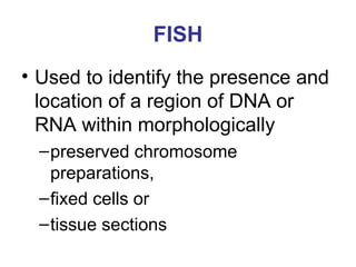 aaplications of molecular cytogenetics.ppt