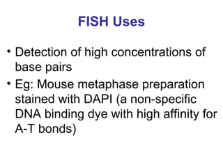 aaplications of molecular cytogenetics.ppt