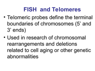 aaplications of molecular cytogenetics.ppt