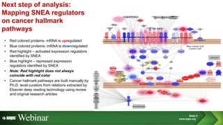 Personalized Medicine: Matching cancer drugs with mechanism (AAPS ...