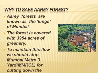 AAREY COLONY PPT.pptx