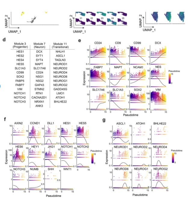 Dimitri Krainc Northwestern Aaron M. Earley Lena F. Burbulla | PDF