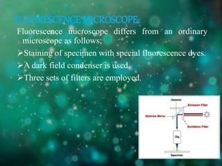 Light microscopy.pptx bright dark phase contrast microscope | PPTX