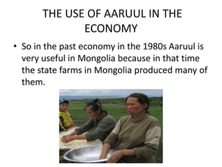 Aarull traditional food from Mongolia Matthew 6A | PPTX