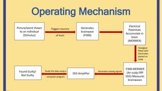 brain fingerprinting | PPTX | Brain and Nervous System Disorders ...