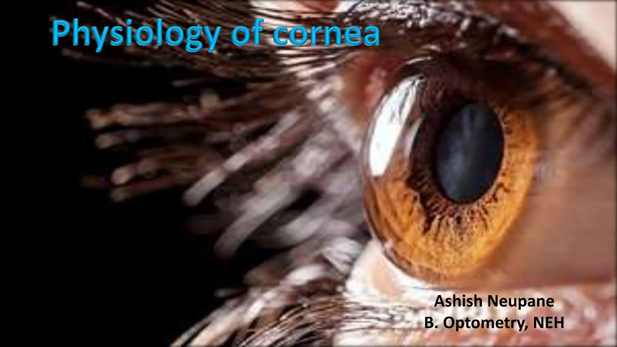 PHYSIOLOGY OF CORNEA DETAILS | PPTX