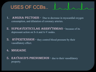 calcium channel blockers | PPTX