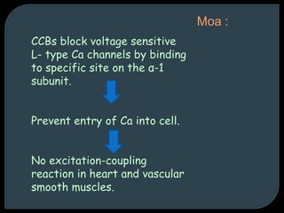 calcium channel blockers | PPTX