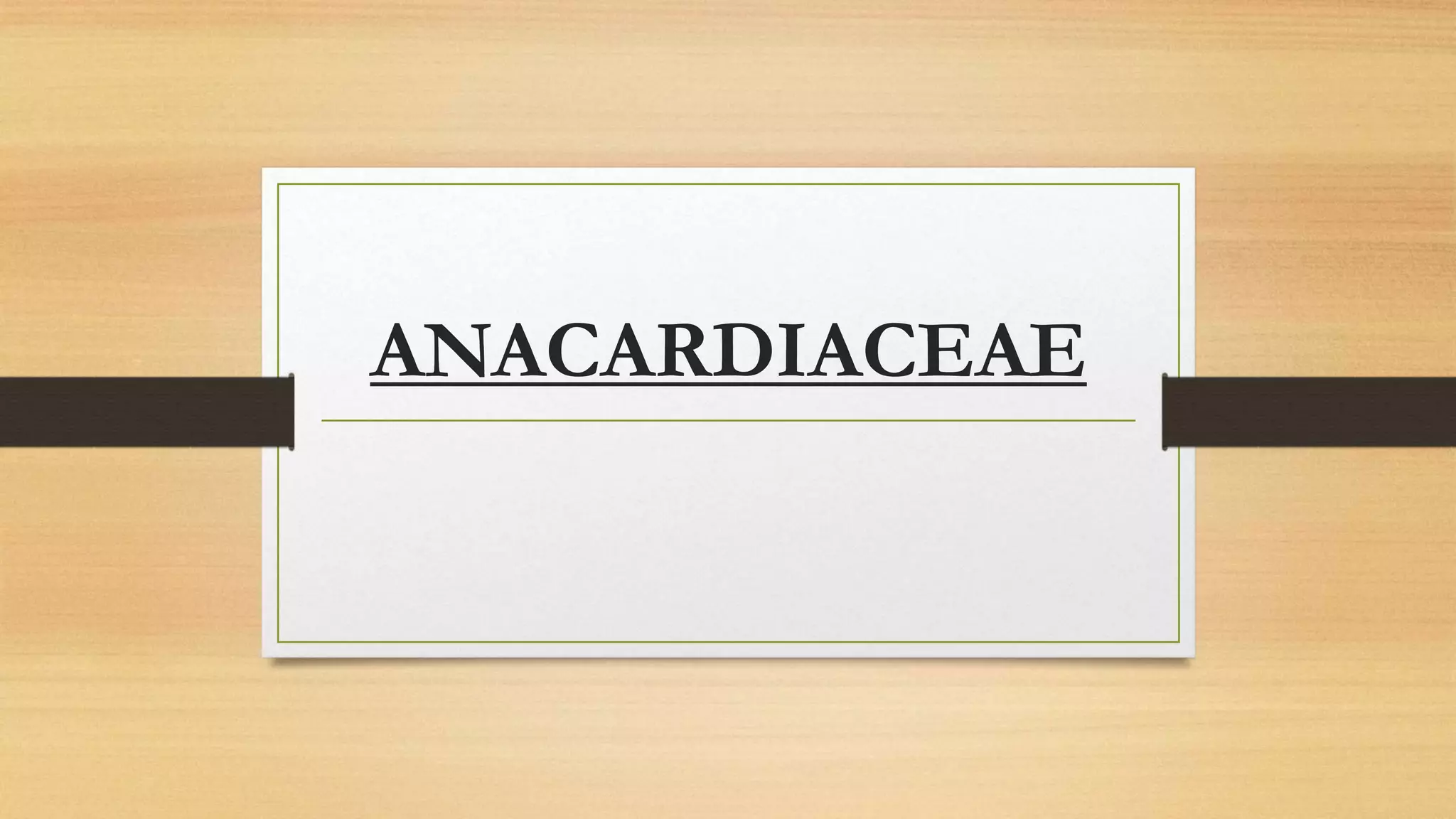 Anacardiaceae and Gramineae | PPTX