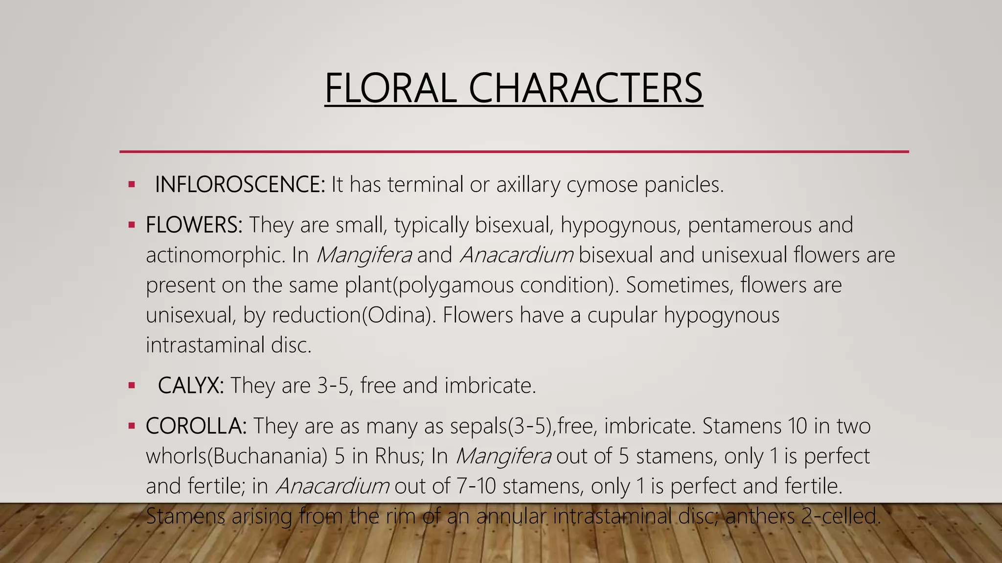 Anacardiaceae and Gramineae | PPTX