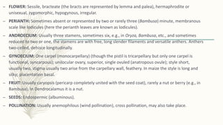 Anacardiaceae and Gramineae | PPTX
