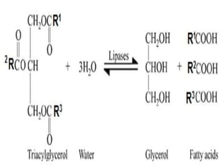 lipids and lipolysis | PPTX