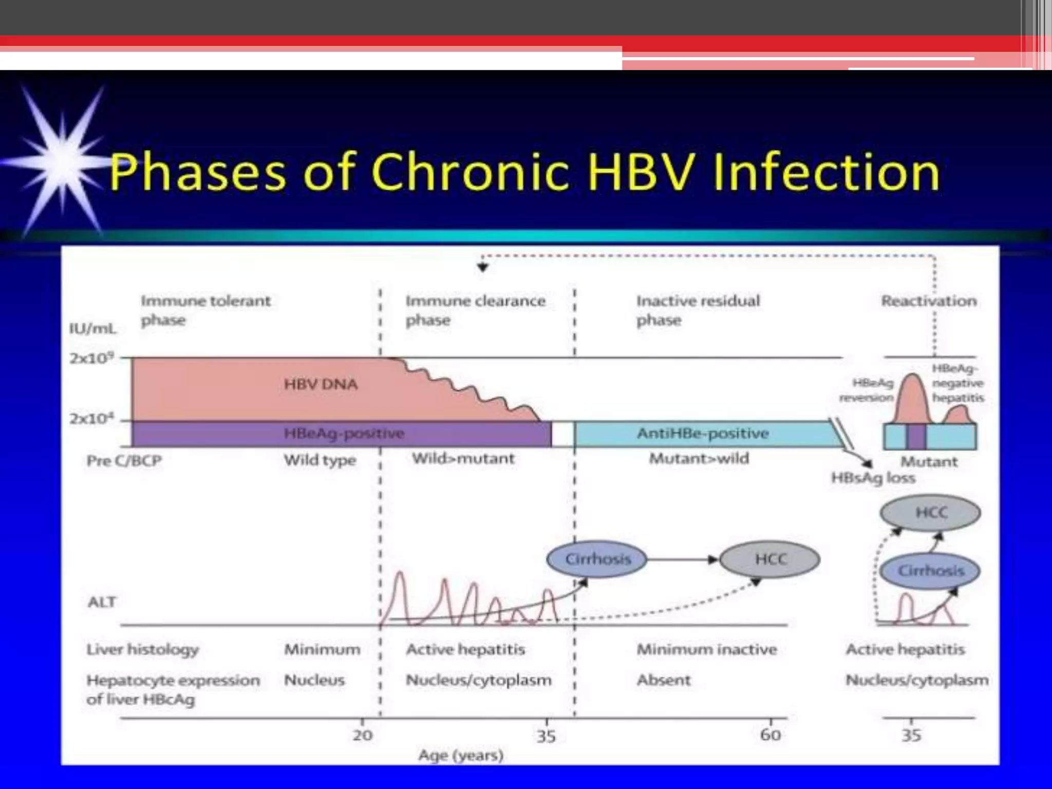 Aasld guidelines for diagnosis & treatment of chronic hepatitis b | PPTX