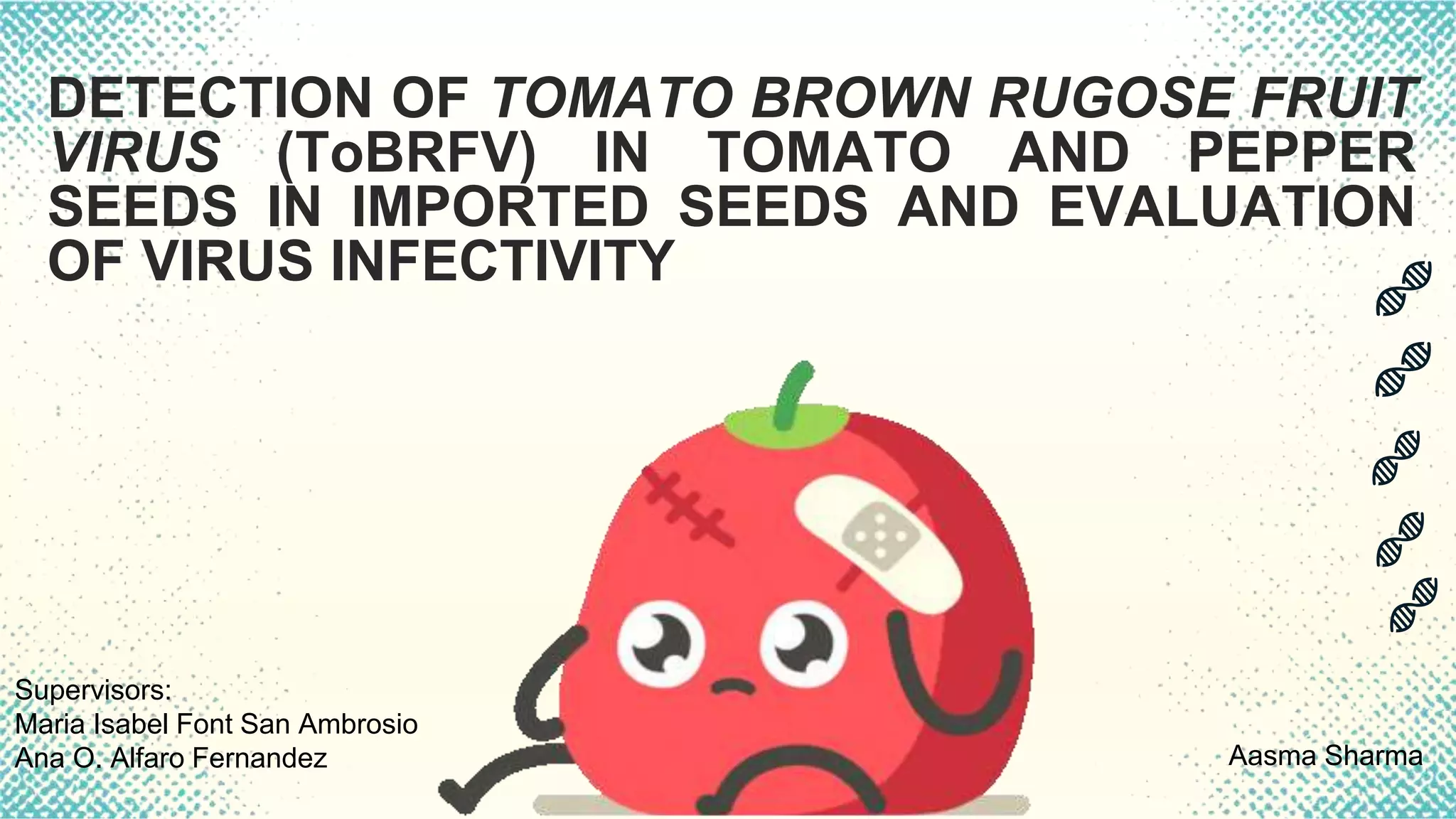Detection techniques of Tomato_Brown_Rugose_Fructose_Virus | PPTX
