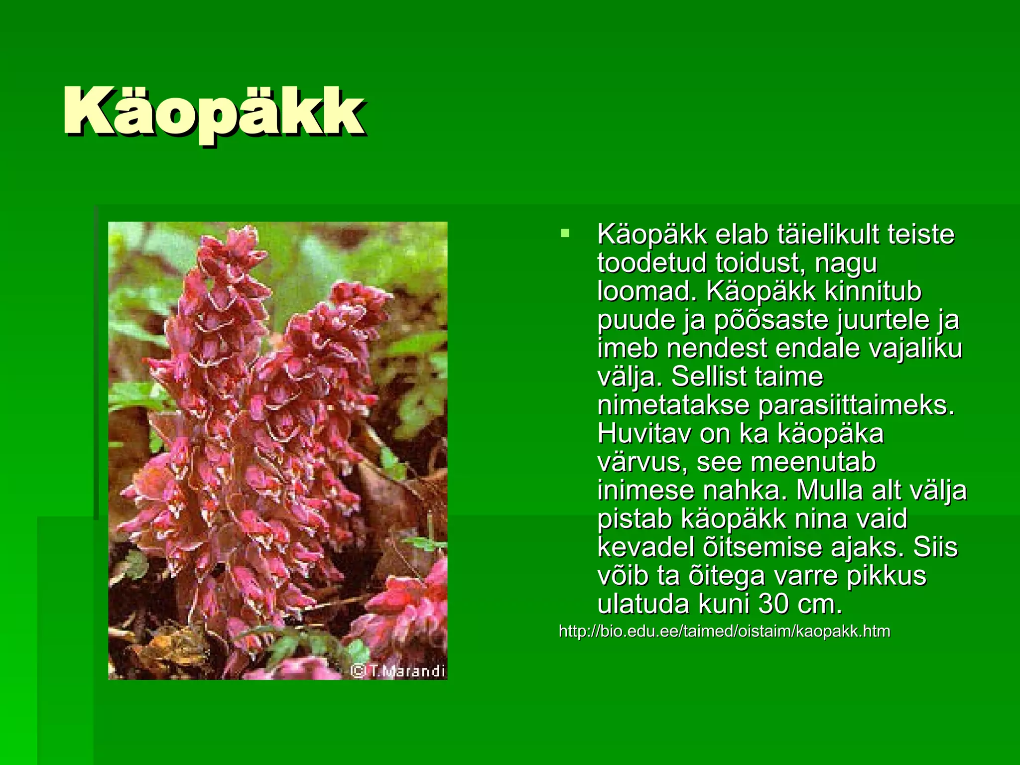 Aastaaeg Kevad Slaid | PPT