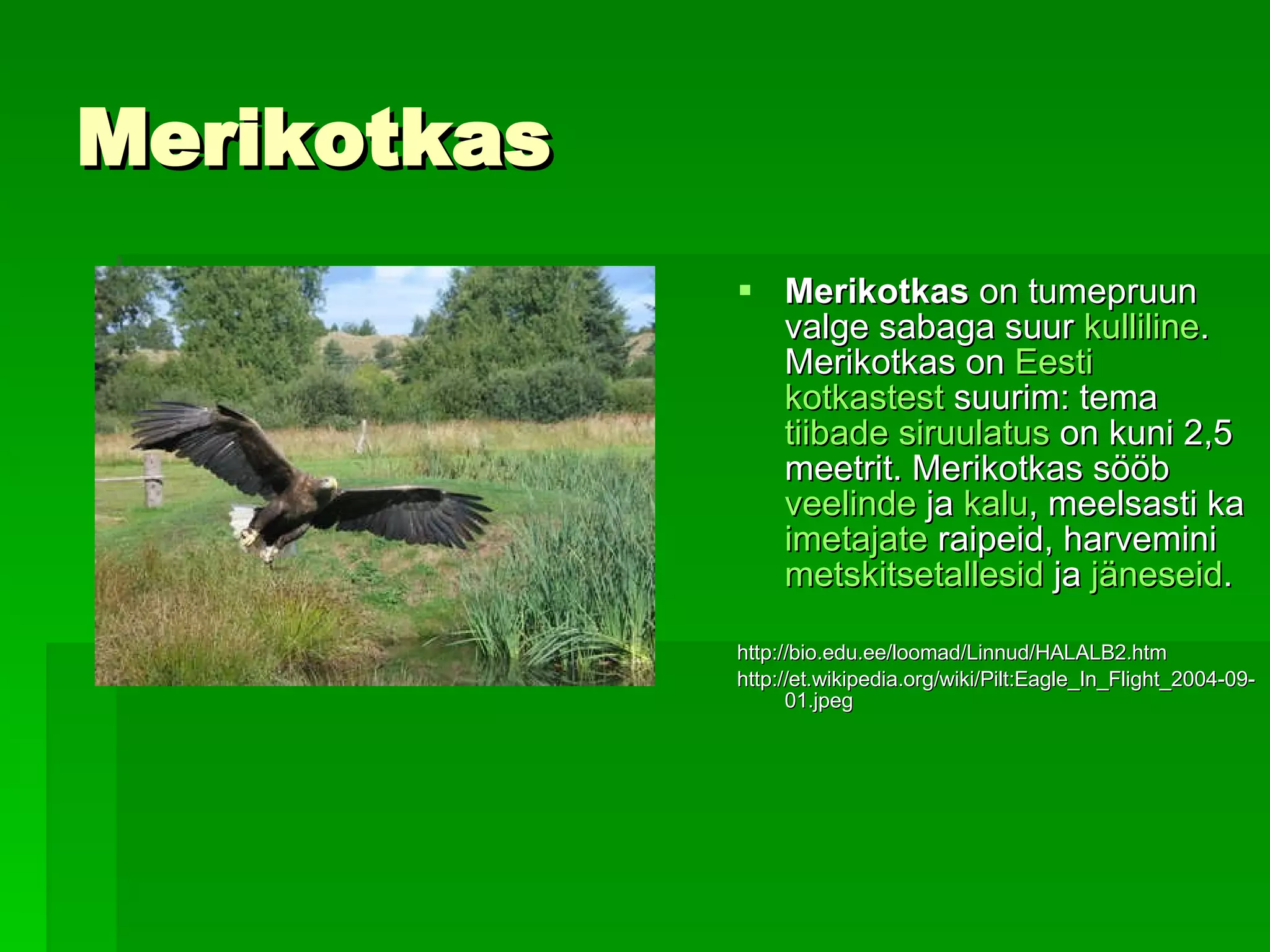 Aastaaeg Kevad Slaid | PPT