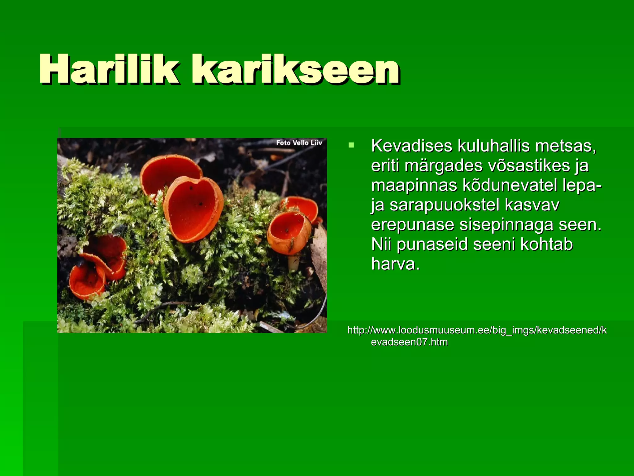 Aastaaeg Kevad Slaid | PPT