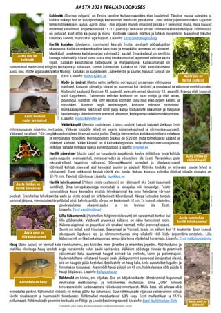 Aasta tegijad 2021 est | PDF